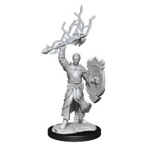 d&d nolzur's marvelous miniatures: half-elf paladin male