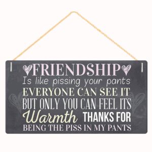 friendship wood sign, every one can see it but only you can feel its warmth home decor plaque 12" x 6" hanging wall art, decorative funny sign,garden sign(xxq102)