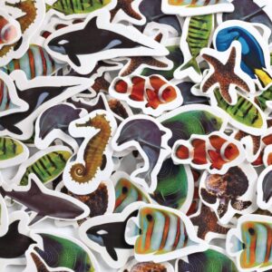 colorations sea life photo stickers, foam stickers, 250 pieces of photo real stickers, self adhesive stickers, kids stickers, stickers for children,scrapbooking, crafting,biology projects,art supplies