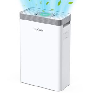 colzer air purifier with true hepa air filter, air purifier for bedroom, for spaces up to 600 sq ft, perfect for home/office with composite filter