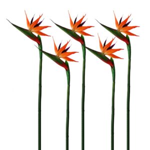 calcifer 32'' real touch bird of paradise artificial flowers bouquet for home garden decoration/wedding party decor (goldenrod,5 stems)