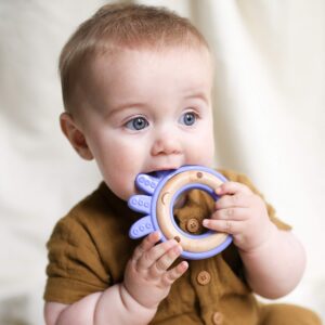 nuby natural wood & silicone teether: octopus, 3m+, purple (80804)