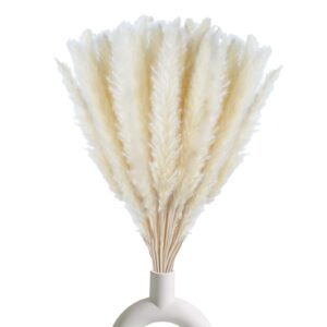 30 pcs white pampas grass ,17 inch/45 cm natural dried pampas grass branches decor for home kitchen garden party photographing flower arrangement vase decor（white