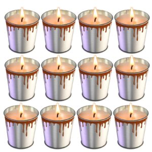 airvibe citronella candles outdoor indoor,decorative scented candles set long lasting natural soy wax for garden patio yard home balcony,15 hours burn 12x2 oz