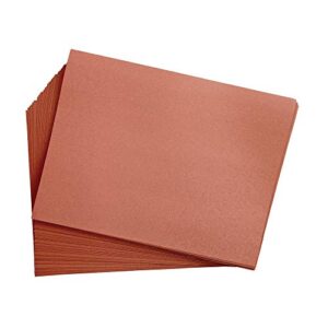 construction paper,brown,12 inches x 18 inches,500 sheets,heavyweight construction paper,crafts,art,kids art,painting,coloring,drawing,creating,paper,art project,all purpose