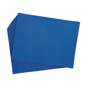 construction paper,blue,12 inches x 18 inches,300 sheets,heavyweight construction paper,crafts,art,kids art,painting,coloring,drawing,creating,paper,art project,all purpose