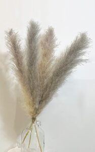 natural & dried pampas grass plant tall gray 48"/120cm 5 stem 27+ inch plume for flower arrangement & vase decoration – boho bohemian garden & farmhouse luxury decor for home,wedding