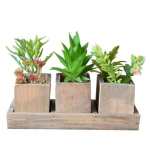 set of 3 fake succulents plants, artificial succulents with rustic style wood square pots & rectangular tray, desktop herb garden mini faux succulents for home décor