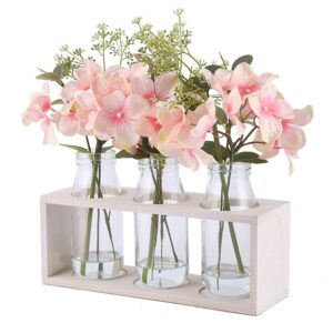 hehimhis desktop glass planter vase with wooden stand for hydroponics plants decor for home office garden wedding, pink