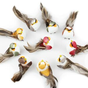 maomia 12pcs artificial simulation foam bird mini feather birds ornaments diy craft for home garden wedding decoration party accessories(4.72inch)