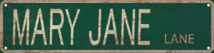 new retro metal mary jane lane street vintage wall decoration home garden kitchen art sign 4x16 inch