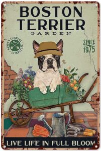 eeypy garden wall art outdoor boston terrier garden live life in full bloom tin sign decoration vintage chic metal poster wall decor art gift for home outside farm garden garage outdoor 16x12 inch