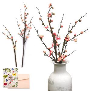 snail garden 2pack artificial plum blossom flowers, faux long stem plum blossom bouquet with 13 heads full bloom plum & 23 silk flower buds-fake plum branches for home table decoration (33.5", 21.2")