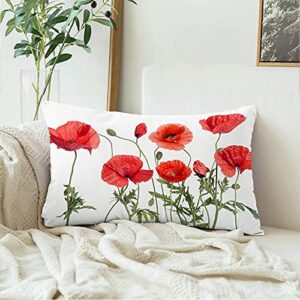 velvet decorative rectangle throw pillow cover cushion case garden red poppies opium isolated pretty rural wild beautiful many summer on white objects vibrant lumbar pillow case for bed 12x20 inch