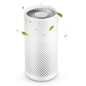 clevast air purifiers for home, h13 true hepa air filter with japanese motor, 3-stage filtration system for 99.97% smoke, pollen, pet dander, and etc.