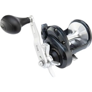 shimano torium 40pg a