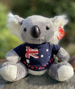 aeisage koala stuffed animal - 8 inch plush koala bear with t-shirt, super soft australian souvenir gift