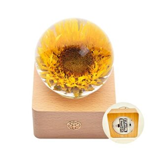 miss li garden night light dimmable warm light, touch sensitive lamp for home bedrooms dining room kitchen living room bedside farmhouse country style house decoration(1.sunflower)