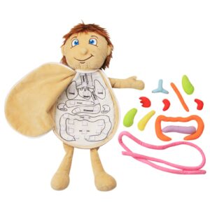 organ toy for kids, human body anatomy awareness teaching tools, preschool educational organ plush toys, science learning kits for home school teaching aids (organ toys)