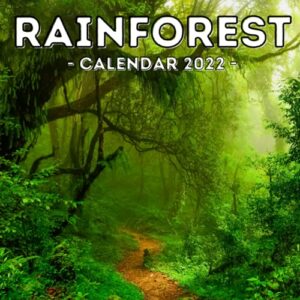 rainforest calendar 2022: 16-month calendar, cute gift idea for forest lovers women & men