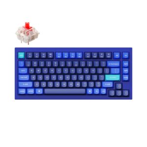 keychron q1 rgb wired custom mechanical keyboard, 75% layout qmk/via programmable macro with hot-swappable gateron g pro red switch double gasket compatible with mac windows linux (blue) -version 2