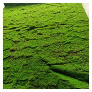 aspzq simulation artificial moss grass turf mat wall green plants diy home lawn mini garden micro landscape decoration (color : i, size : 1x1m)