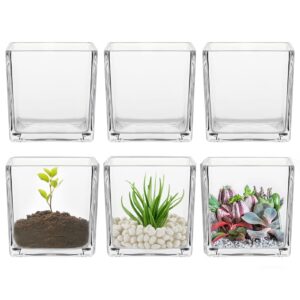 6 pack clear square glass vases, planter terrarium flowers vase candle holder for home,garden, wedding centerpiece decorations and formal dinners (width 4", height 4")