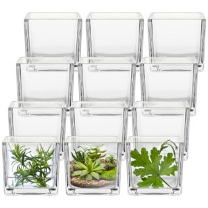 12 pack clear square glass vases, planter terrarium flowers vase candle holder for home,garden, wedding centerpiece decrations and formal dinners (width 3", height 3")