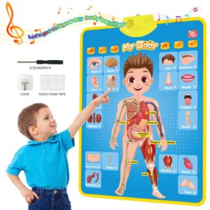 joylearn my body interactive educational poster for toddlers and kids to learn body parts, organs, muscles and bones, 16'' x 22''