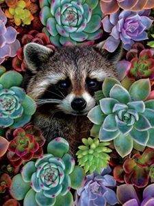 ceaco - nature's beauty - racoon - 550 piece jigsaw puzzle,24 x 18