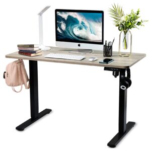 vizty electric standing desk,height adjustable home office desks with usb charging port,sit and stand up table with 48 x 24 inches one-piece table top (white maple)