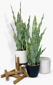 auelife artificial snake plants 2pcs 41-inch fake snake plants with wood stand tall faux snake plants (extra include 2pcs white imitation ceramic pots) perfect for home garden office store decoration