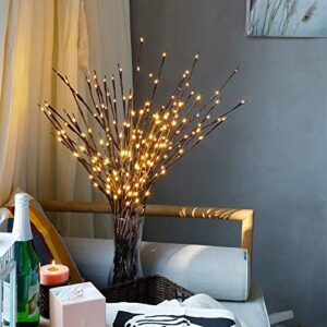 zlypsw the light garden floral led willow branch lamp battery-operated 20 bulbs for home christmas party garden decoration