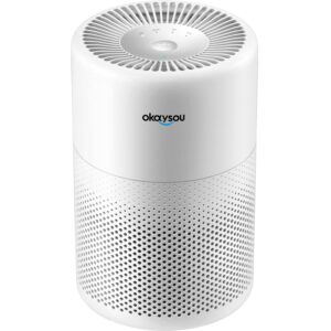 okaysou air purifiers for home, h13 true hepa filter, 22db dc filtration system, remove 99.97% dust smoke pollen hair vocs, quiet air cleaner odor eliminators