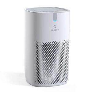 air purifier for home large room, bagotte 4-in-1 h13 hepa filter air purifier up to 1725 ft² in 60 min, 24db quiet 4 speeds 6 watts sleep mode energy saving, remove 99.97% dust smoke odor ozone free