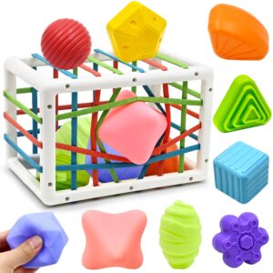 aituitui montessori baby toys for 1 year old boy girl gifts, shape sorter baby toys 6 12 18 months early learning sensory bin with 3 soft textured balls, toddlers toy for age 1 2 3 autistic children