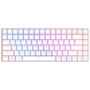 ciy tes84 hot-swappable mechanical keyboard with cnc aluminum case, rgb wireless/wired gaming keyboard, double shot keycaps,2000mah battery (gateron yellow, white) (84keys)