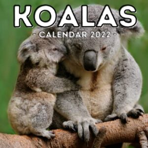 koalas calendar 2022: 16-month calendar, cute gift idea for koala lovers girls & men