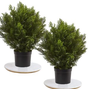 momoplant —24inch/2 ft outdoor artificial boxwood garden torch shaped topiary tree artificial topiaries bushes potted fake plants outdoor/indoor decor（set of 2）