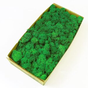 prefleur preserved reindeer craft moss natural green diy kit gardenning art wall florist easter table wedding(0.85lb)(green-05)