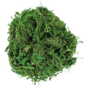 veemoon 3 packs of artificial moss dried moss fake lichen plants for home fairy garden patio decoration- dark green 60g/ pack