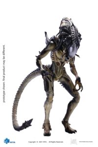 hiya toys alien vs predator: requiem predalien 1:18 scale figure, multicolor