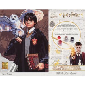 dimensions paintworks hedwig and harry potter paint by number kit for adults and kids, finished project 11" x 14", multicolor 15 piece