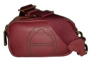 etienne aigner stella mini leather camera crossbody - antic cordovan