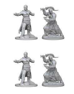 wiz kids pathfinder battles deep cuts miniatures bundle: human male monk w1 x2