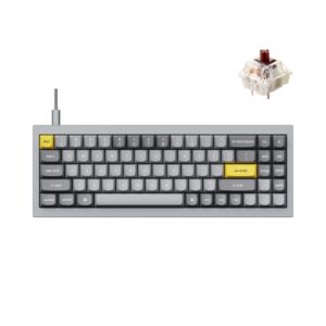 keychron q7 wired custom mechanical keyboard, 70% layout qmk/via programmable macro with hot-swappable gateron g pro blue switch double gasket compatible with mac windows linux (grey)