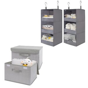 granny says bundle of 2-pack hanging organizer for closet & 2-pack closet storage bins