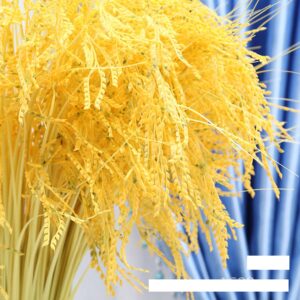 mousidr fake grain plant artificial paddy rice flowers yellow natural plants for home office hall shop window garden decoration (12 packs 23.6inches)