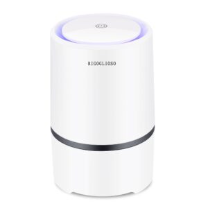 rigoglioso air purifier for home with true hepa filters,low noise portable air purifiers with night light,desktop usb air cleaner