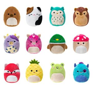 squishville by original squishmallows all-star squad - 12 fan favorites, including hans, cam, malcolm, avery, and more - amazon exclusive